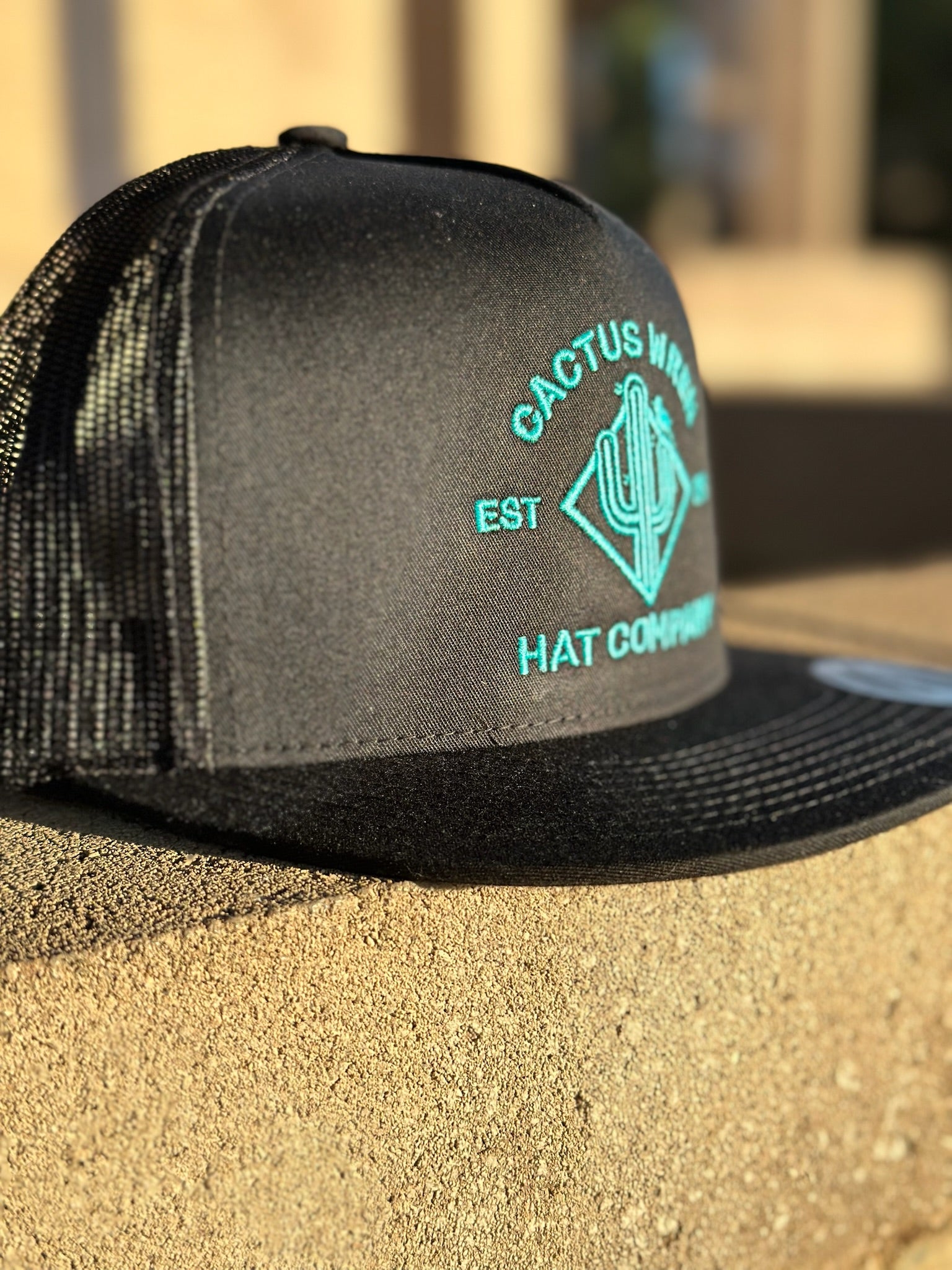 Ranch Logo in Black/Turquoise – Cactus Wren Hat Co